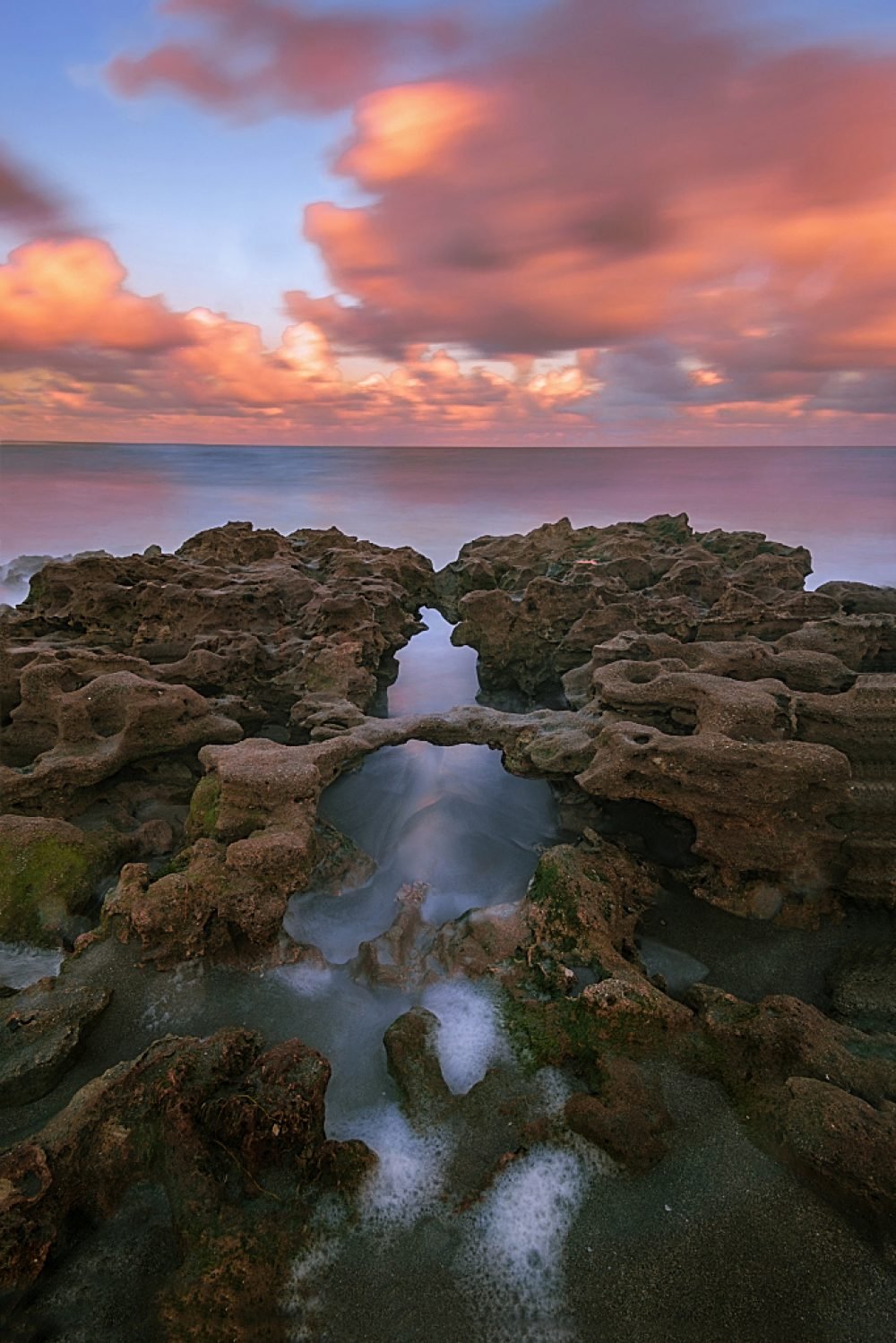 Coral Cove 5 Andy Morgan Photography